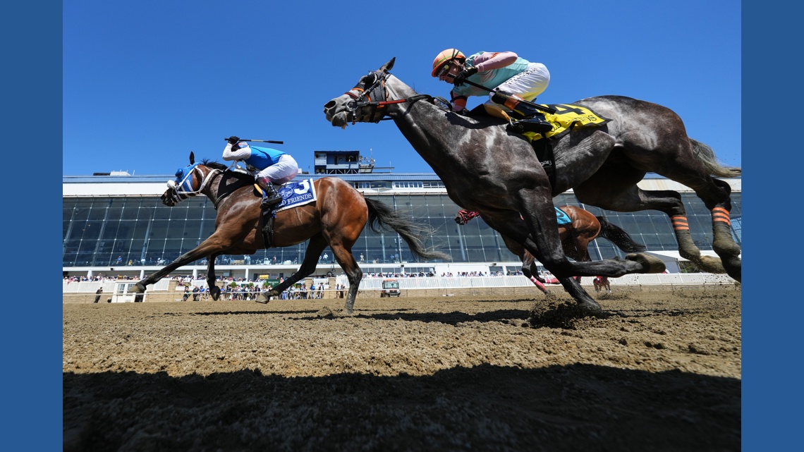 Preakness Day is underway in a quiet scene at Laurel Park, which ...