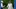 South Korean duo takes Dow Championship lead in LPGA team event as ...