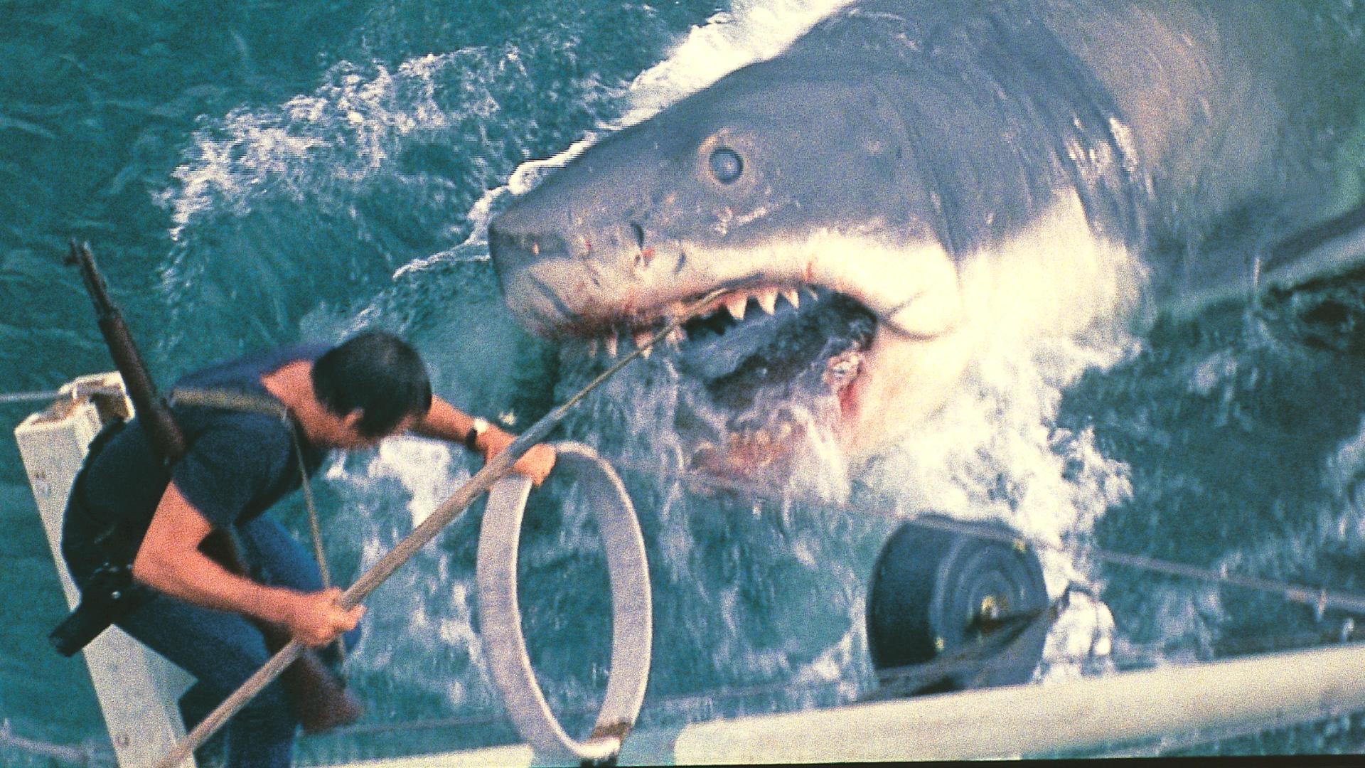 'Jaws' 50th anniversary: How to watch the special anniversary screening ...