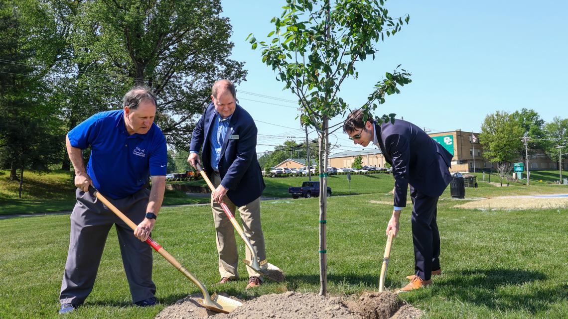 What is National Arbor Day? Holiday encourages tree planting and ...