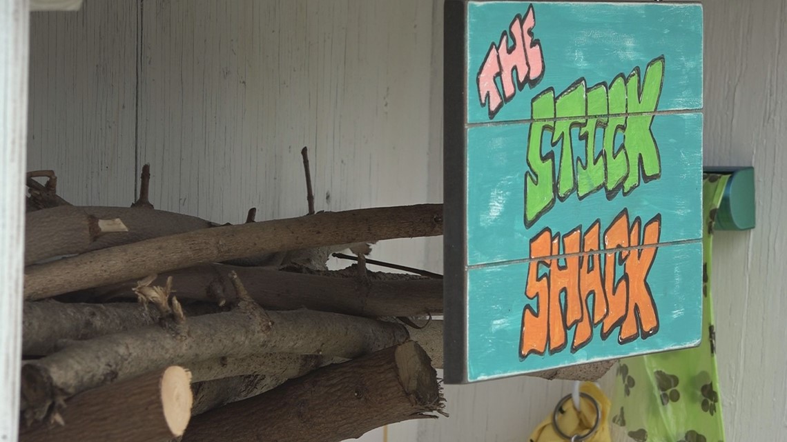 The Stick Shack is a little free library for your dog | wzzm13.com