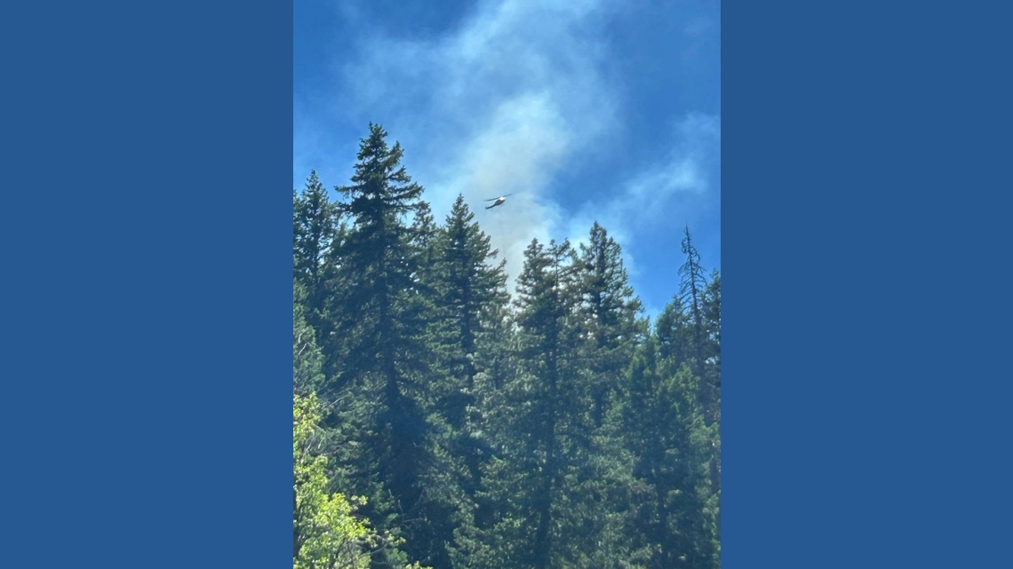 Pilot safe after military aircraft crashes in Washington state | wzzm13.com