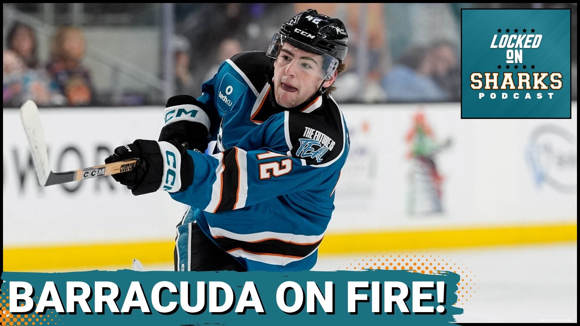 DOMINANCE: San Jose Barracuda SWEEP Abbotsford Canucks as Quentin Musty ...