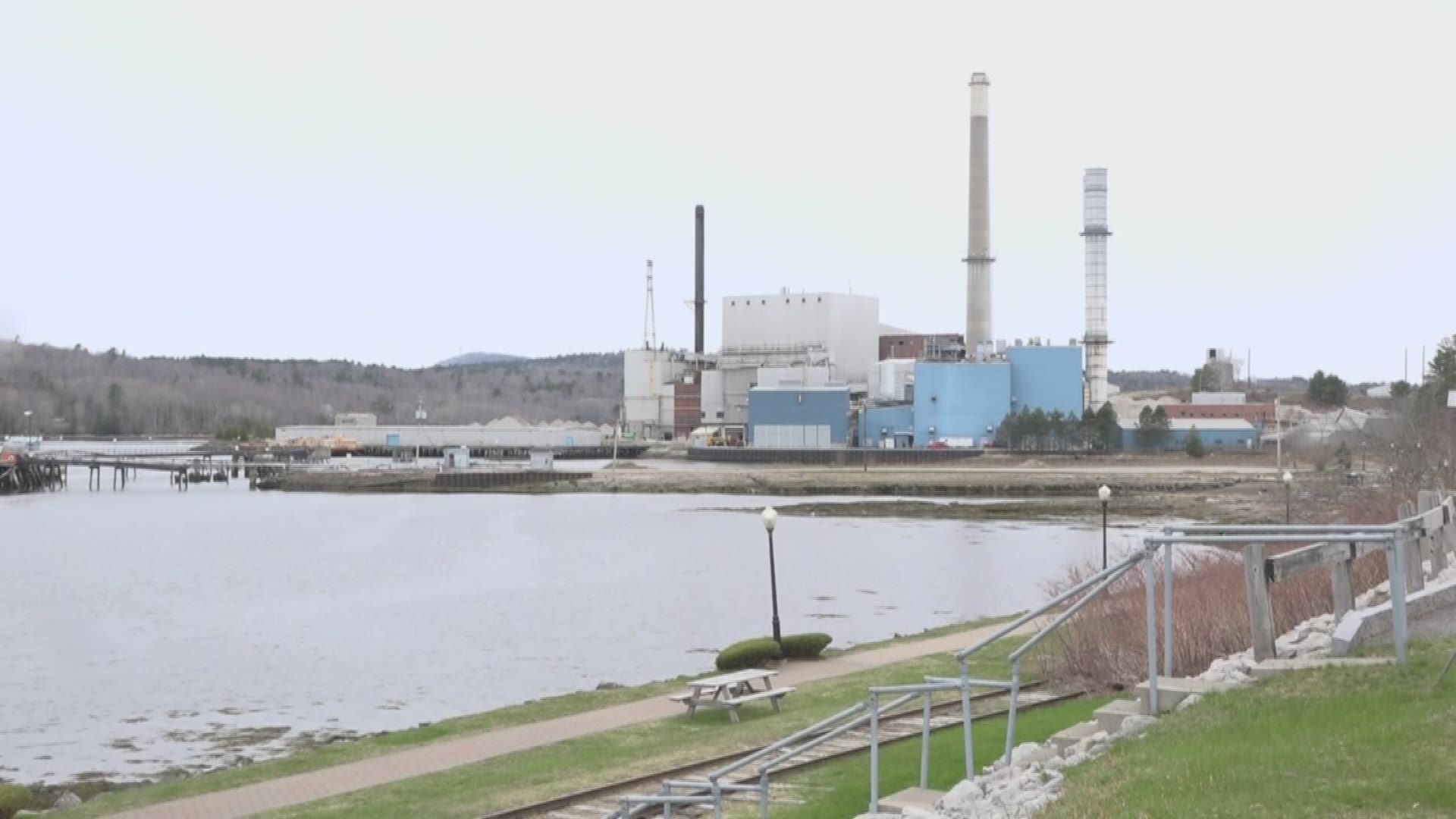 Paper mill transformed into salmon farm | wzzm13.com