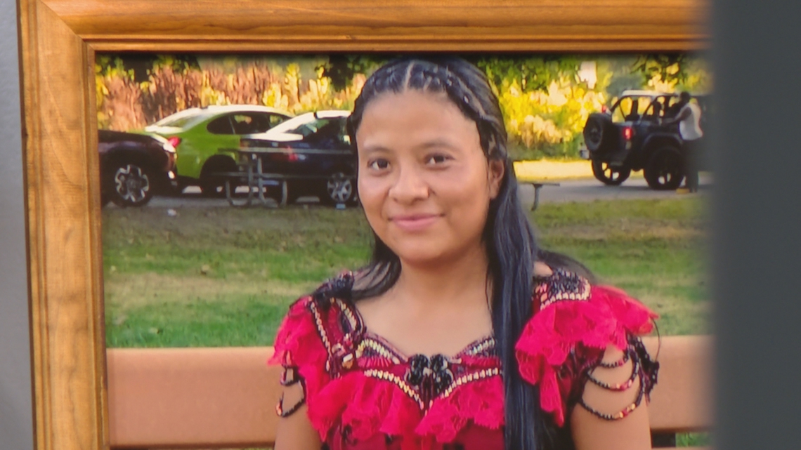 Homeowner charged with voluntary manslaughter in fatal shooting of ...