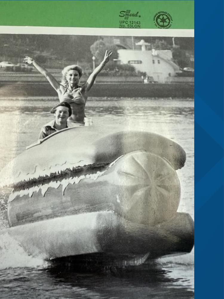 Ohio man's hot dog boat floats in Lake Erie, goes viral | wzzm13.com