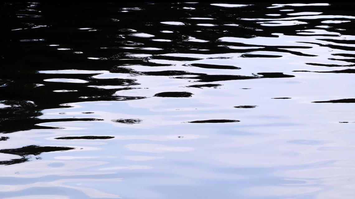 Man drowns in Versluis Park Saturday | wzzm13.com
