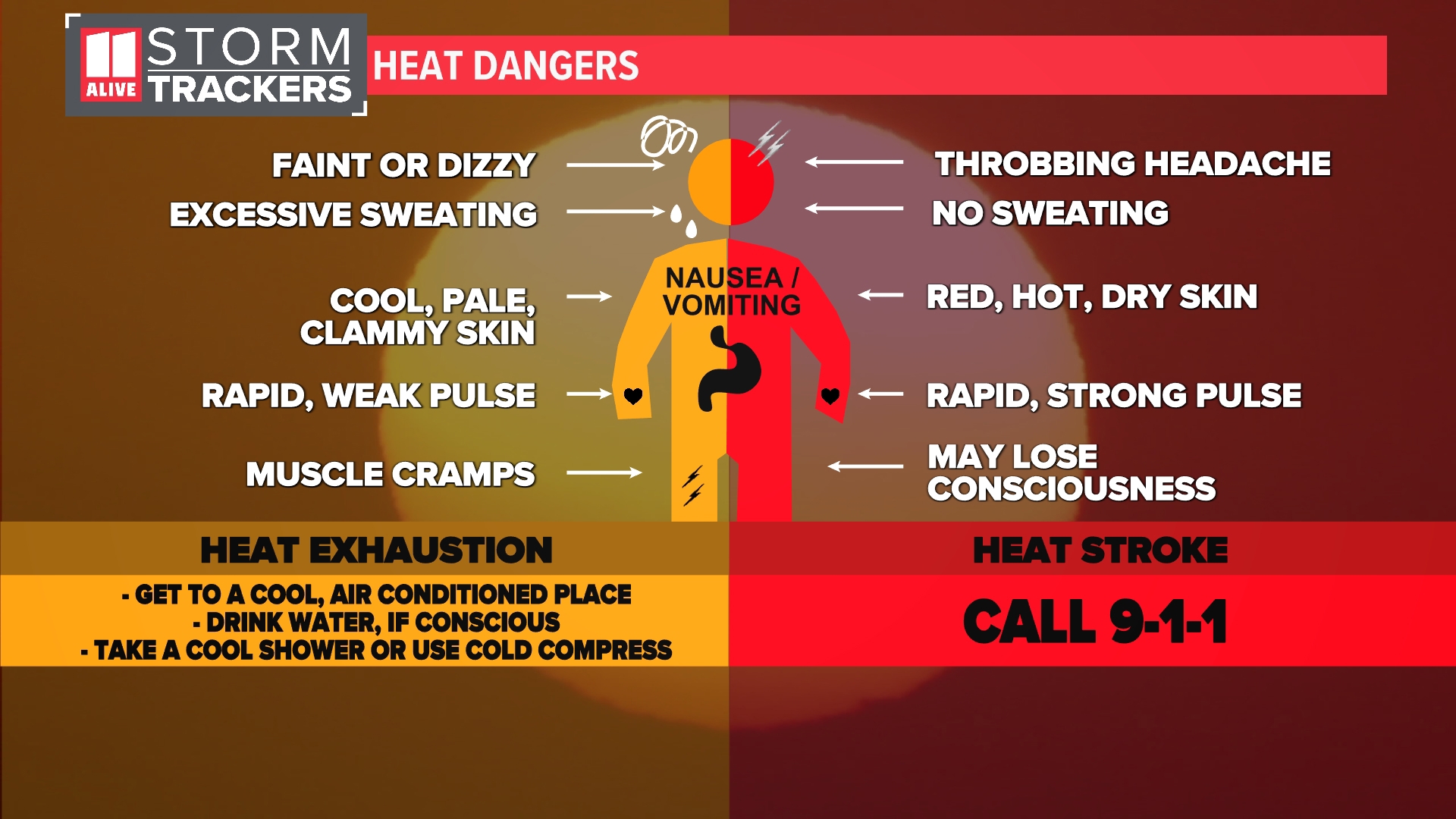 How sweat helps regulate your body temperature | wzzm13.com