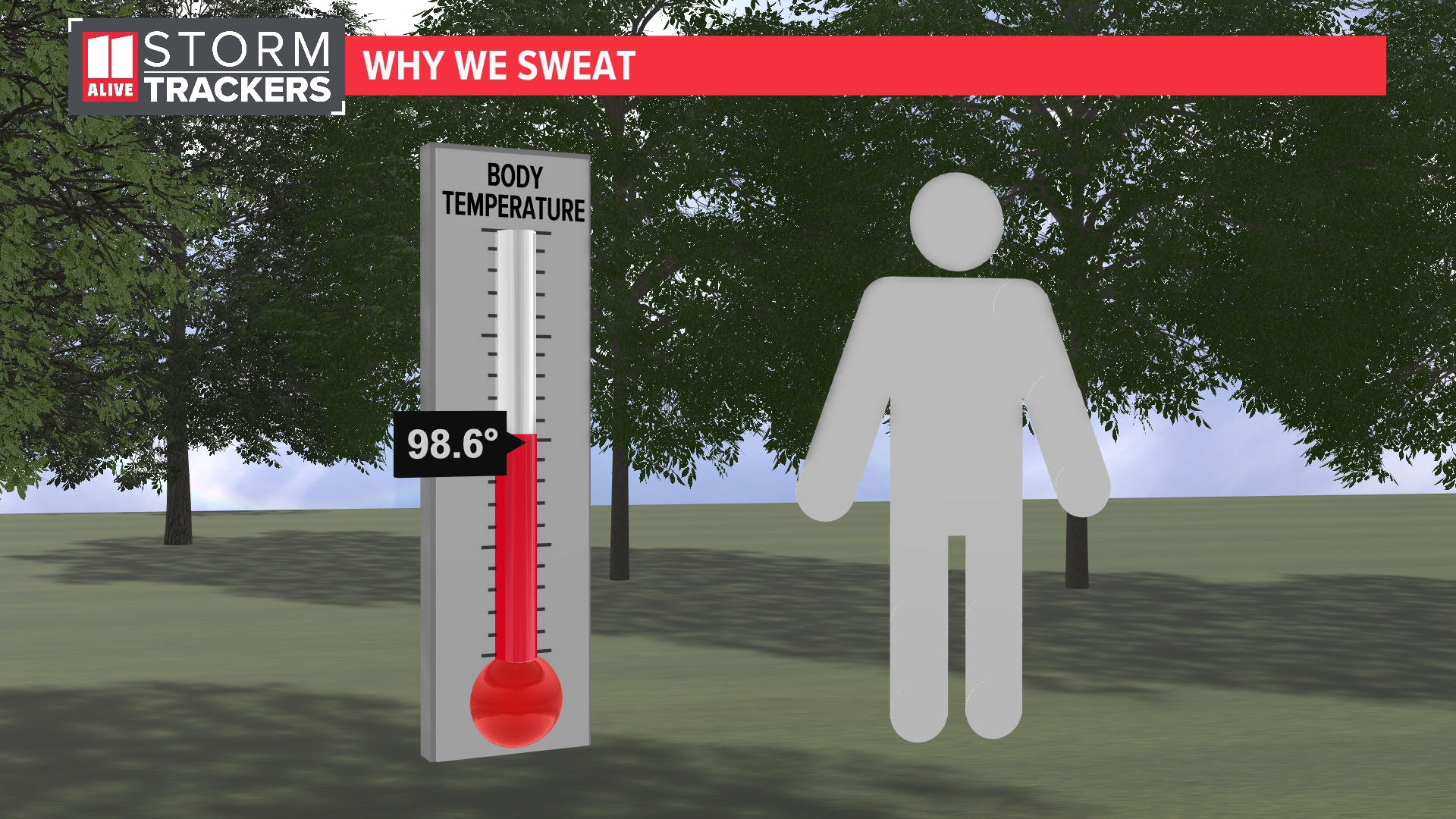 How sweat helps regulate your body temperature | wzzm13.com