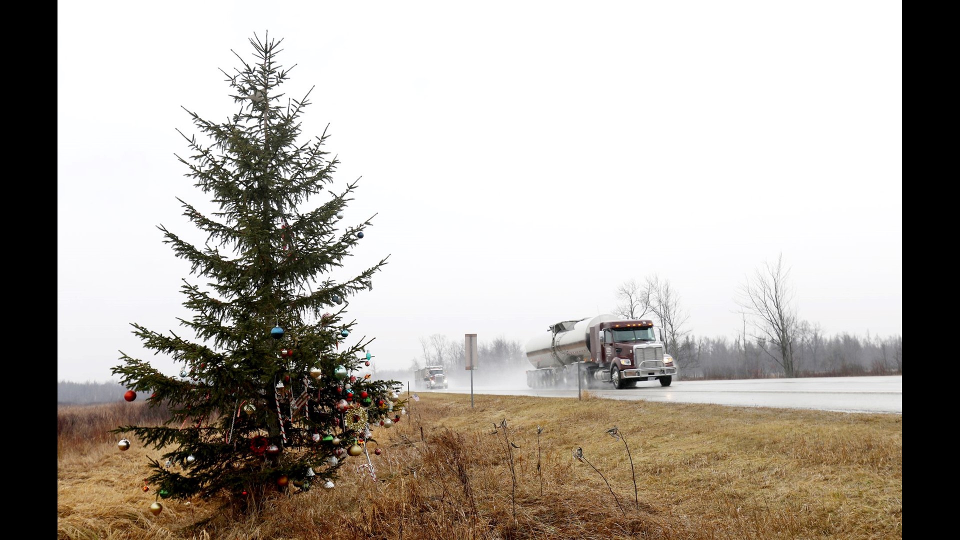 Roadside Christmas tree becomes an Up North mystery | wzzm13.com