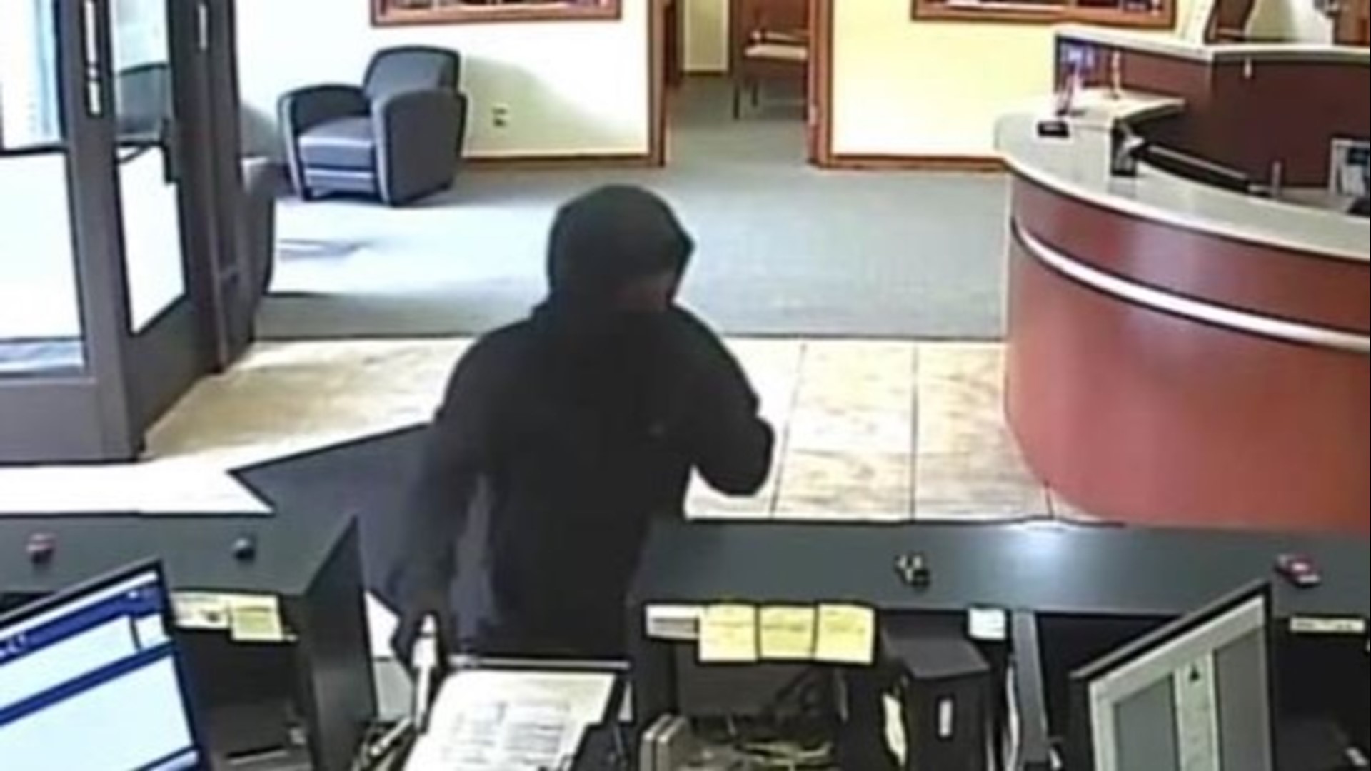 Credit union robber fired shots while in bank, no one injured | wzzm13.com