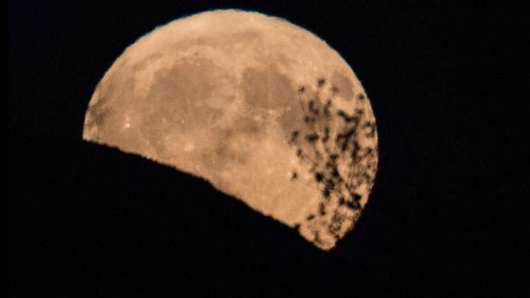 Catch a glimpse of the Full Hunter's Moon on Sunday | wzzm13.com