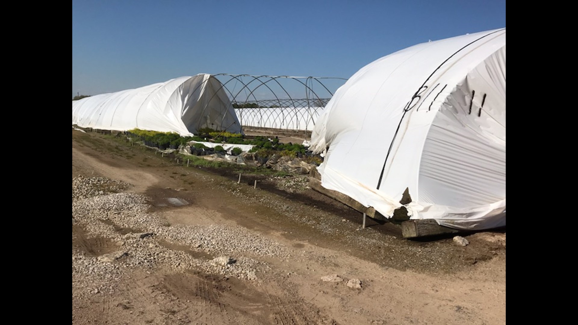 EXPLAINED: How Dust Devils Form | wzzm13.com