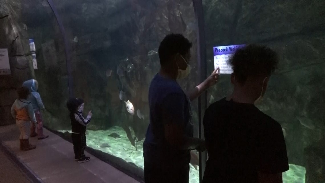 John Ball Zoo dreams of bringing major aquarium to West Michigan ...