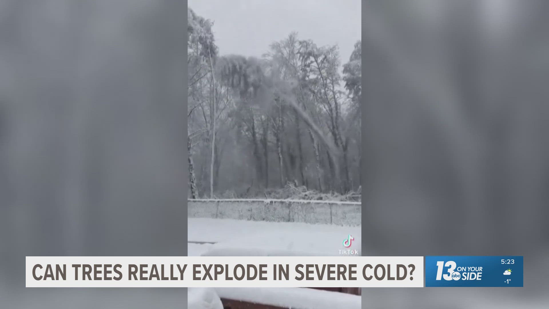 Can trees actually explode in severe cold weather? | wzzm13.com