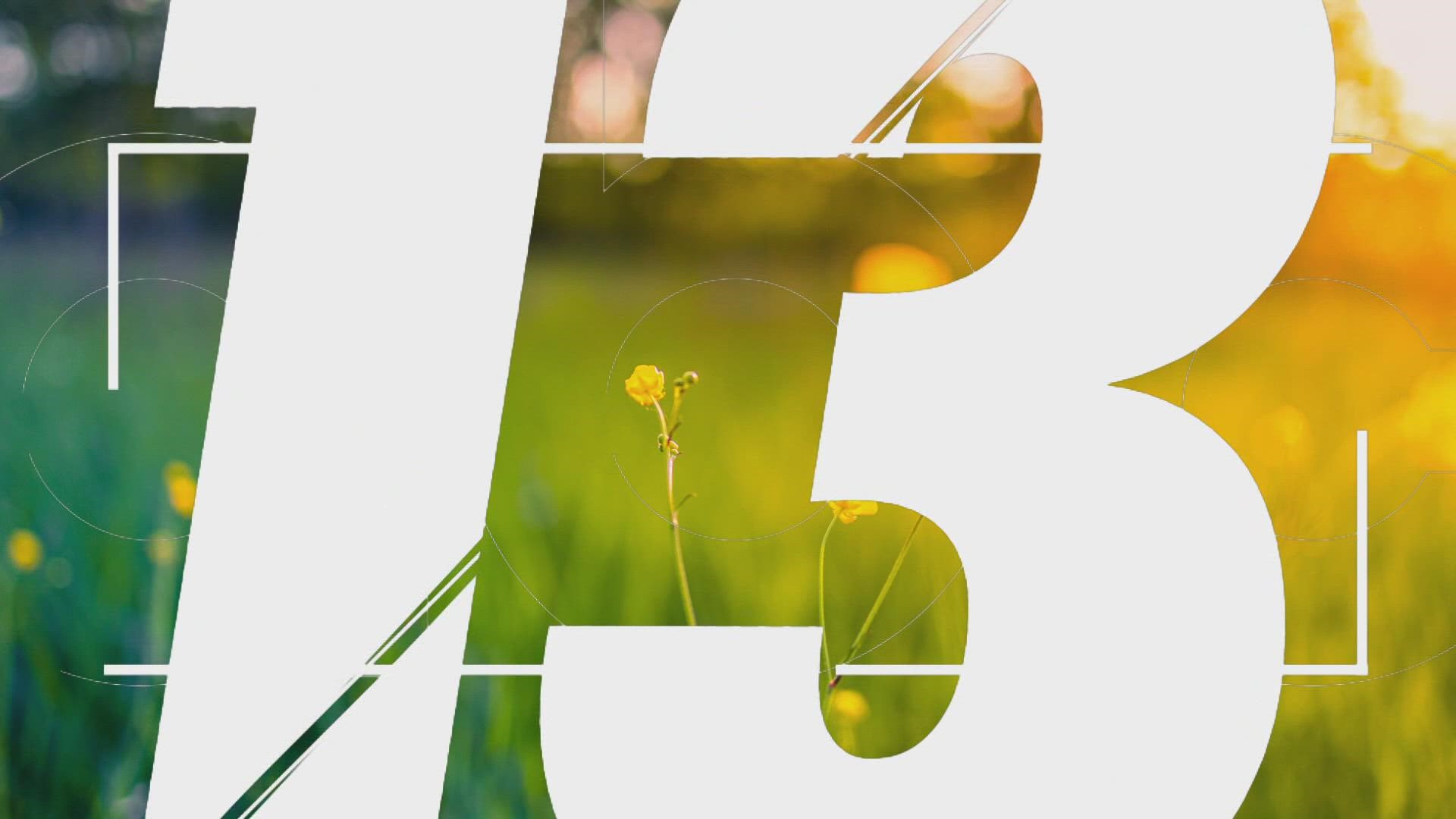 13 Weatherball in Grand Rapids | wzzm13.com