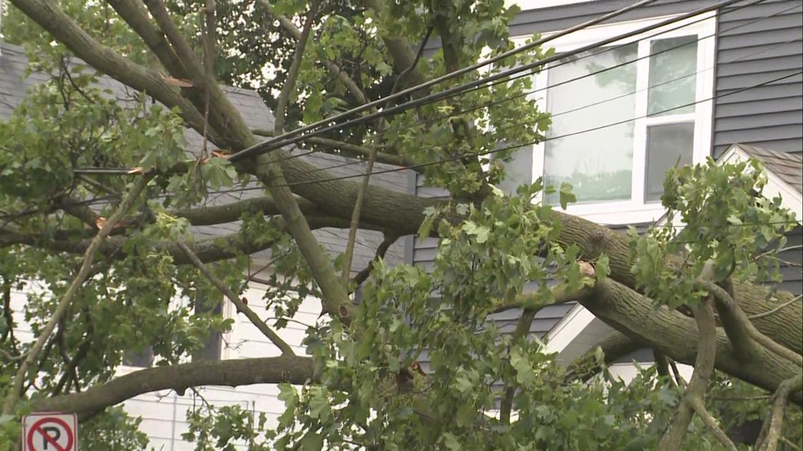 Storms leave behind downed trees and power lines, fires and power ...
