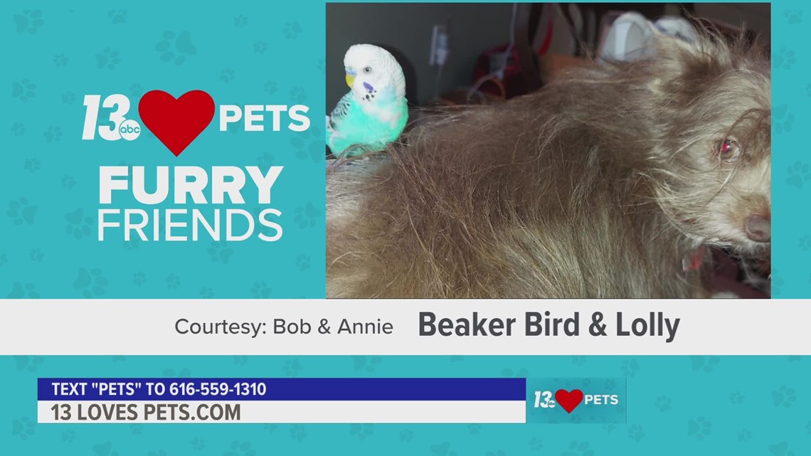 Furry Friends: September 9, 2022 | Cowboy and Beaker Bird & Lolly ...