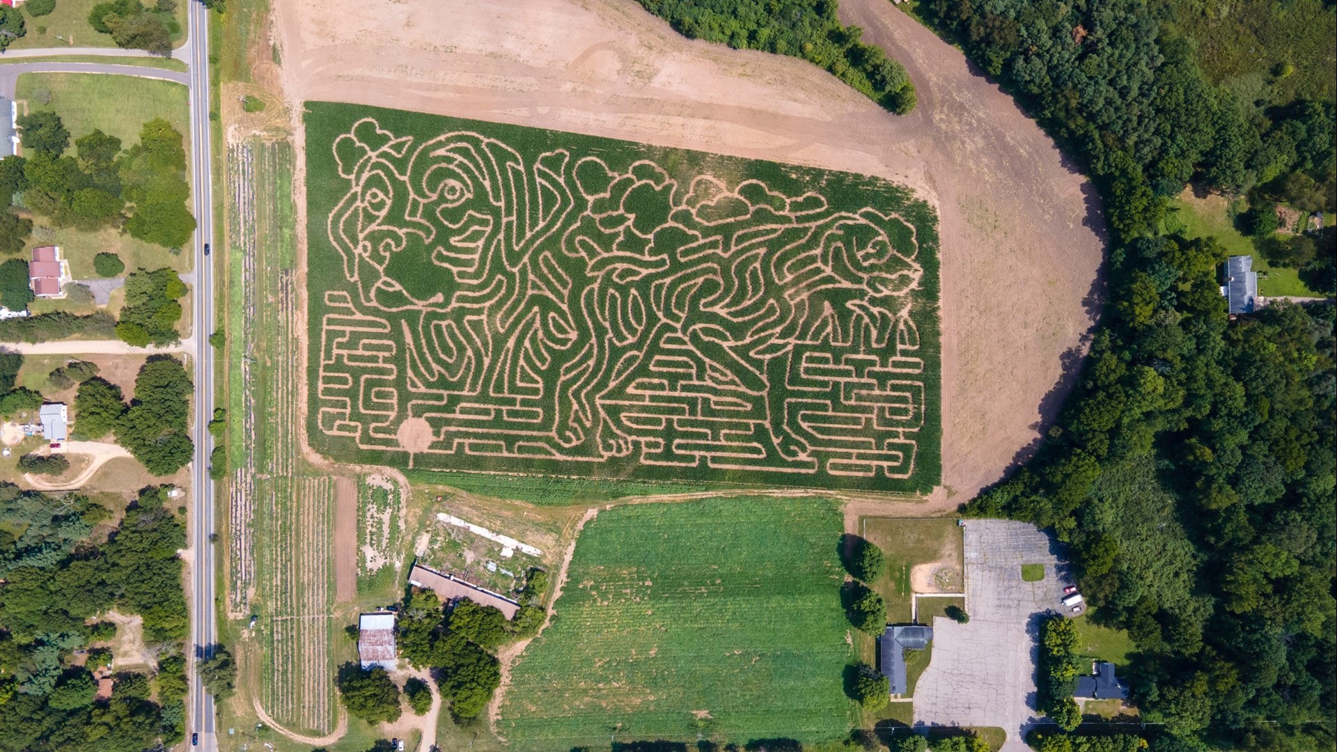 Michigan's massive 12-acre corn maze that's causing many to 'Get Lost ...