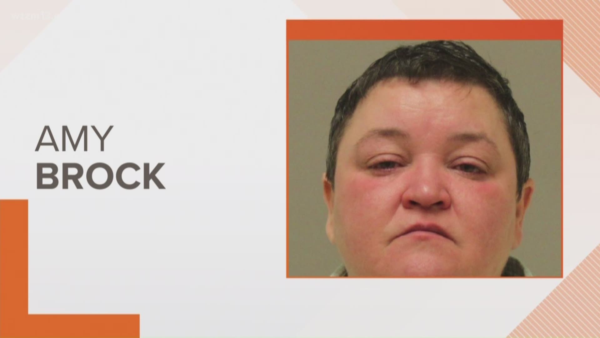 Amy Brock pleads guilty in crash that killed John Canepa | wzzm13.com