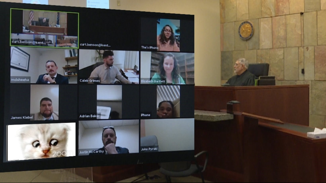 Virtual hearings sometimes include cats, drinks, driving and disorder ...