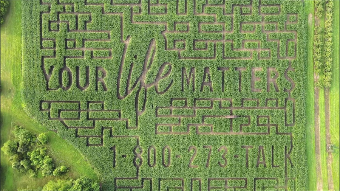 'THERE'S ALWAYS A WAY OUT': Message in Michigan maze supports suicide ...