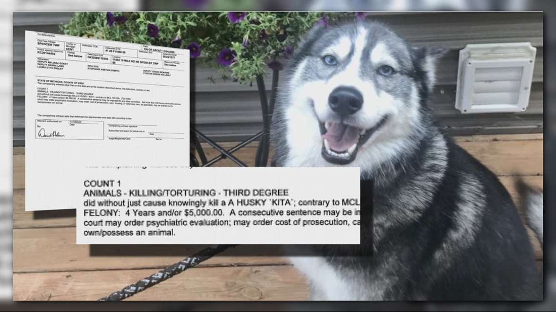 Shooting death of woman’s Siberian husky brings felony charge against ...