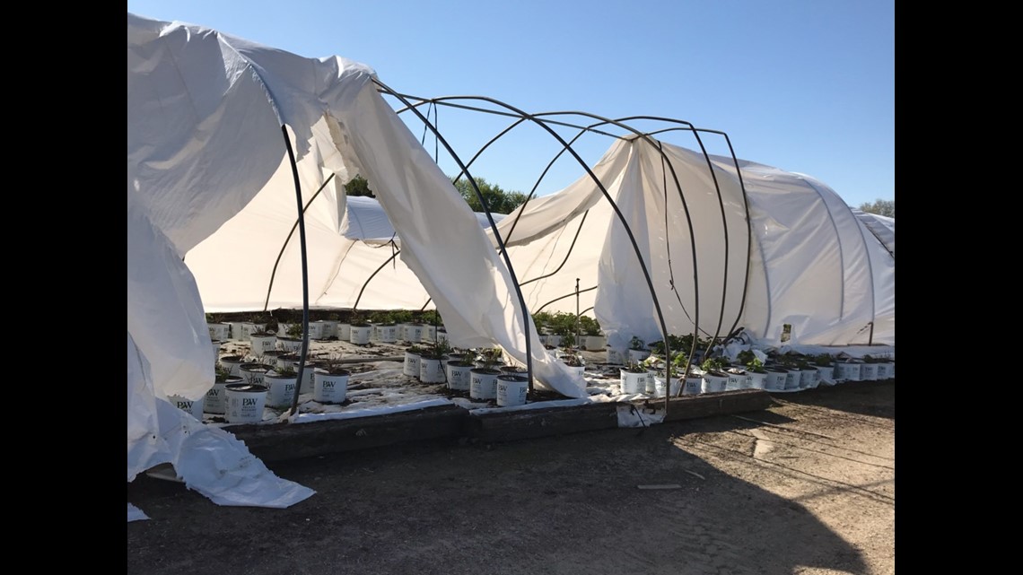 EXPLAINED: How Dust Devils Form | wzzm13.com