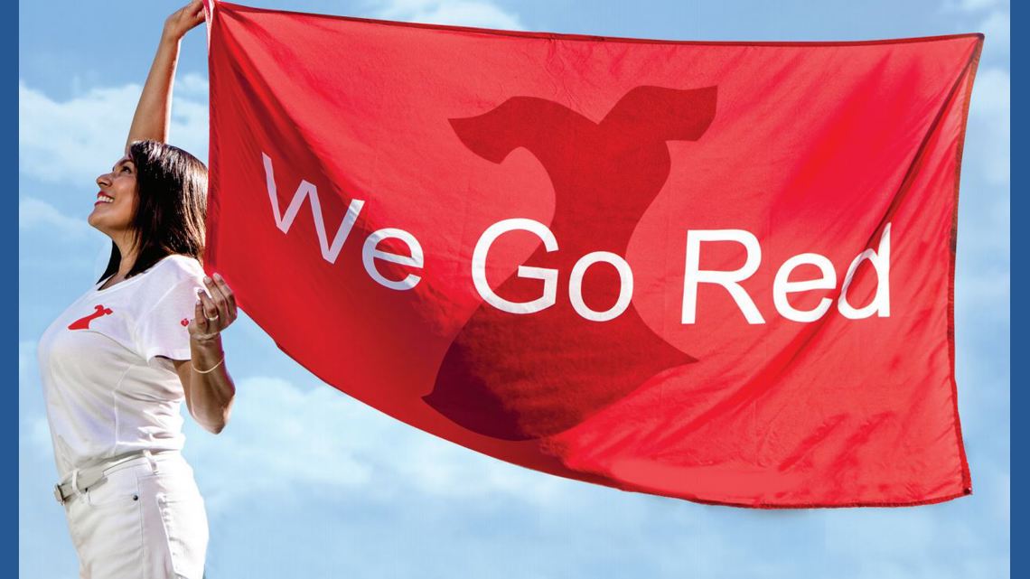 Engage, Educate, Empower: Grand Rapids Go Red for Women luncheon ...