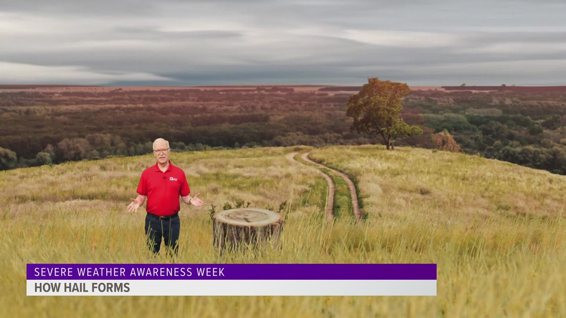 Hail dangers & safety | wzzm13.com