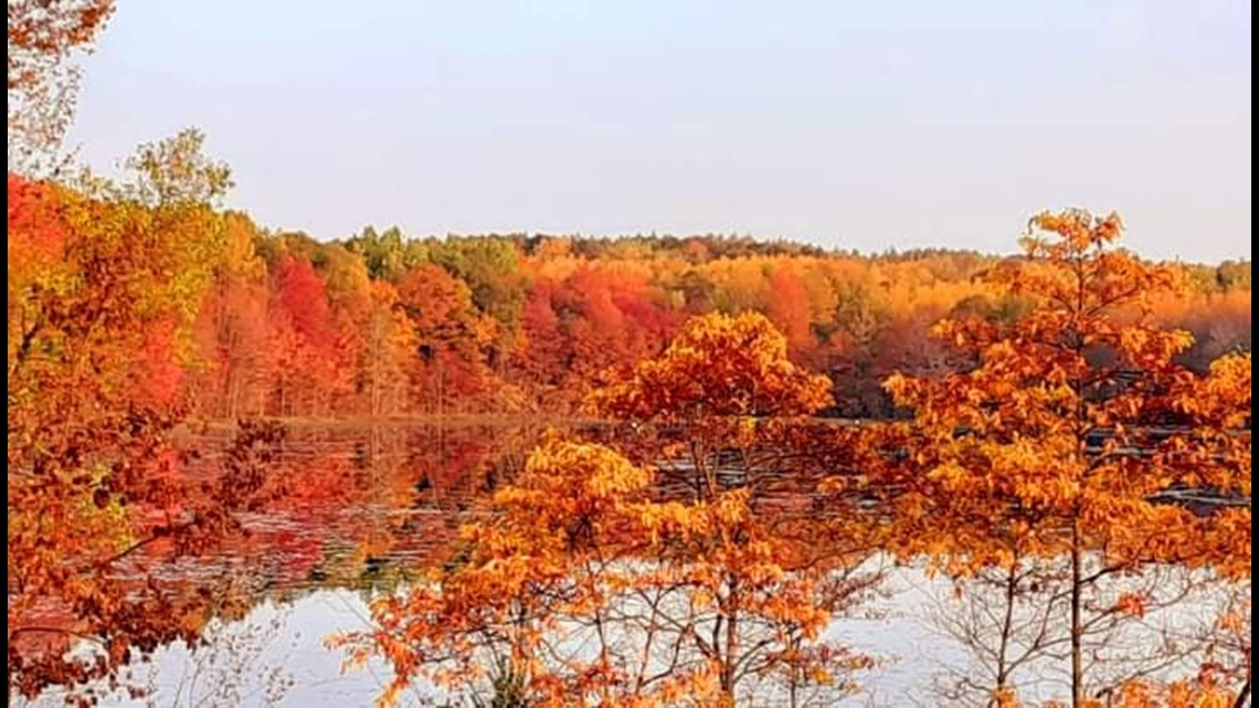 Nature's Greatest Show: Fall foliage | wzzm13.com