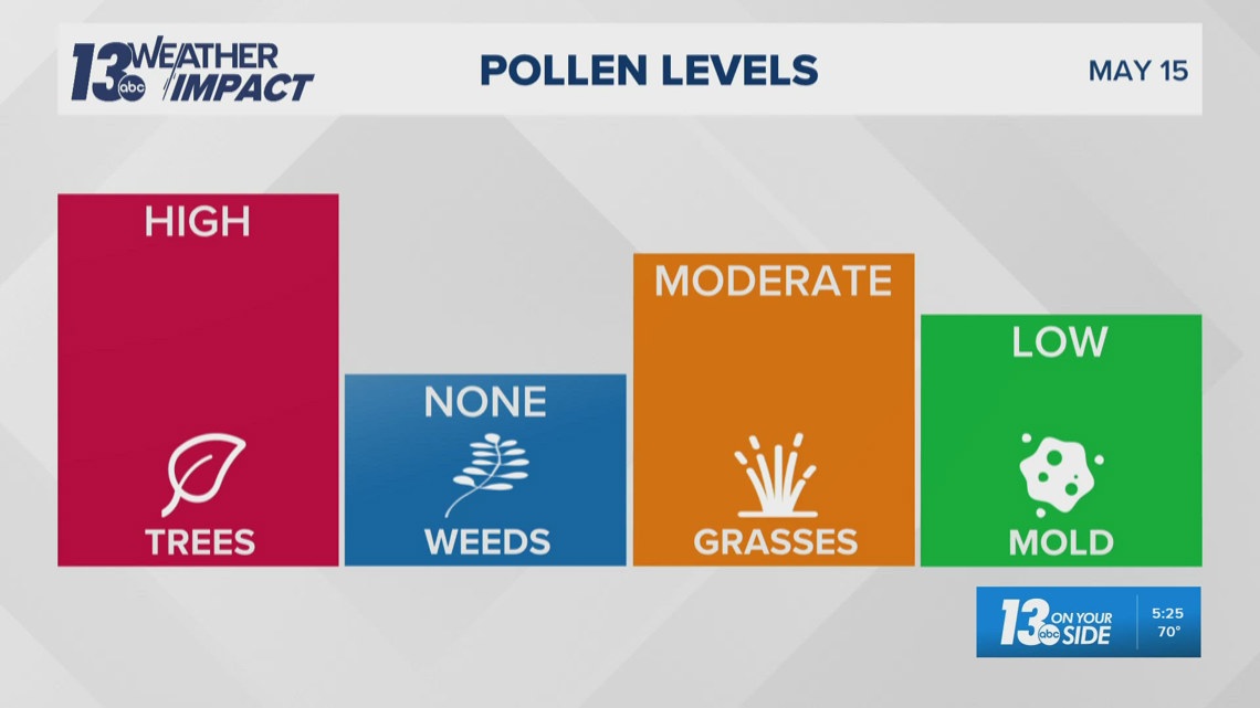 Spring allergies causing coughing, sneezing | wzzm13.com