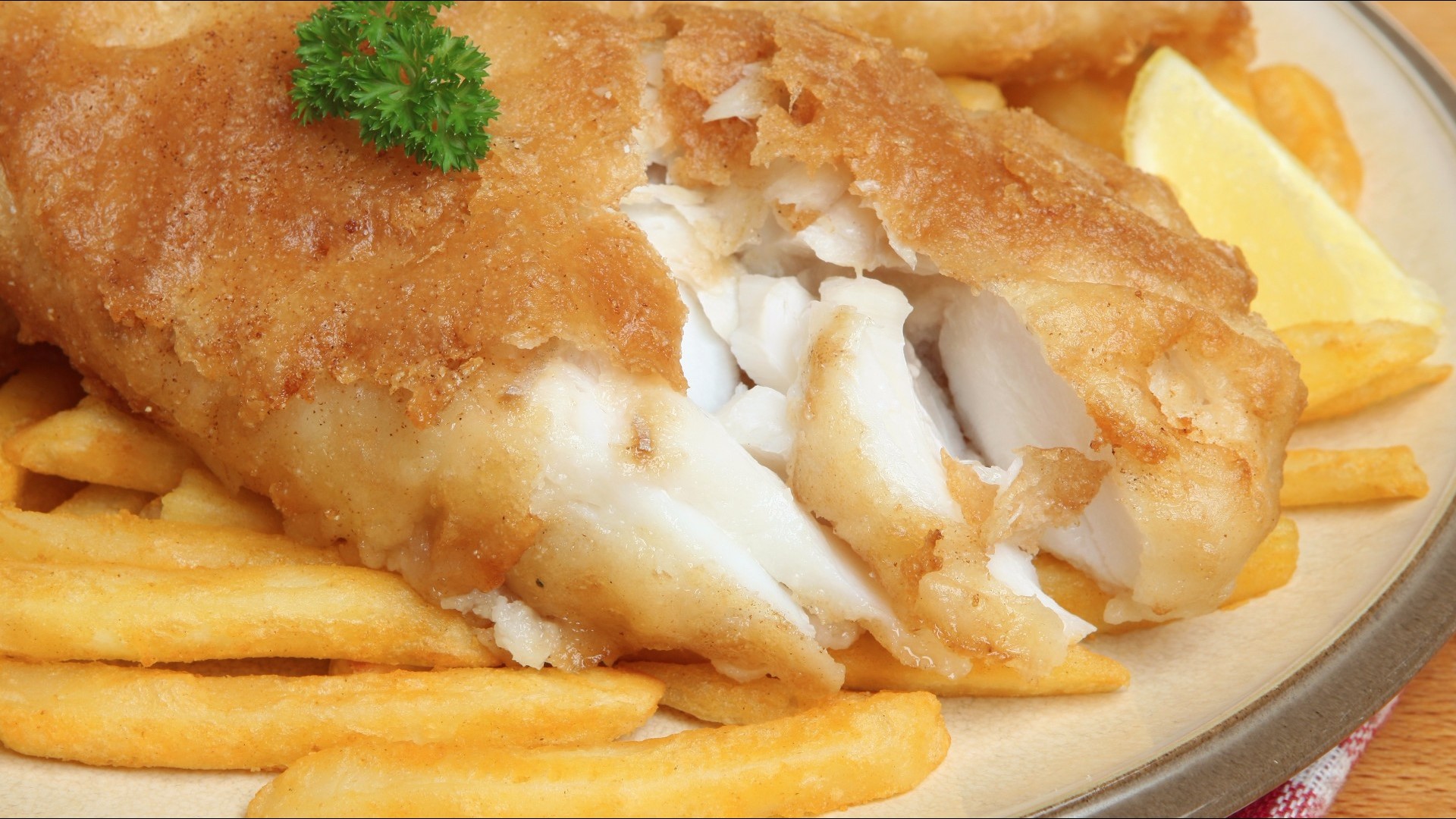 13 ON YOUR SIDE Fish Fry Frenzy 2019 - Round One | wzzm13.com