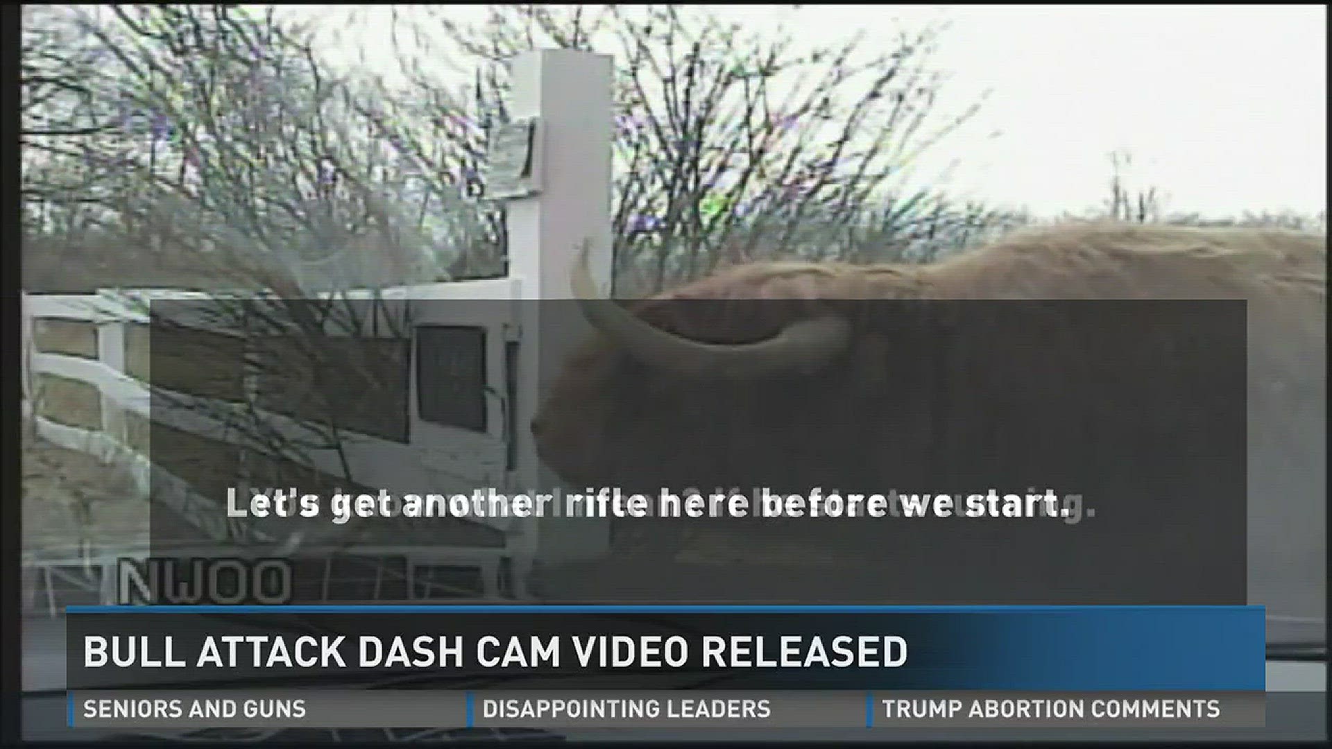 Dash cam video shows Kent Co. deputies respond to bull attack | wzzm13.com