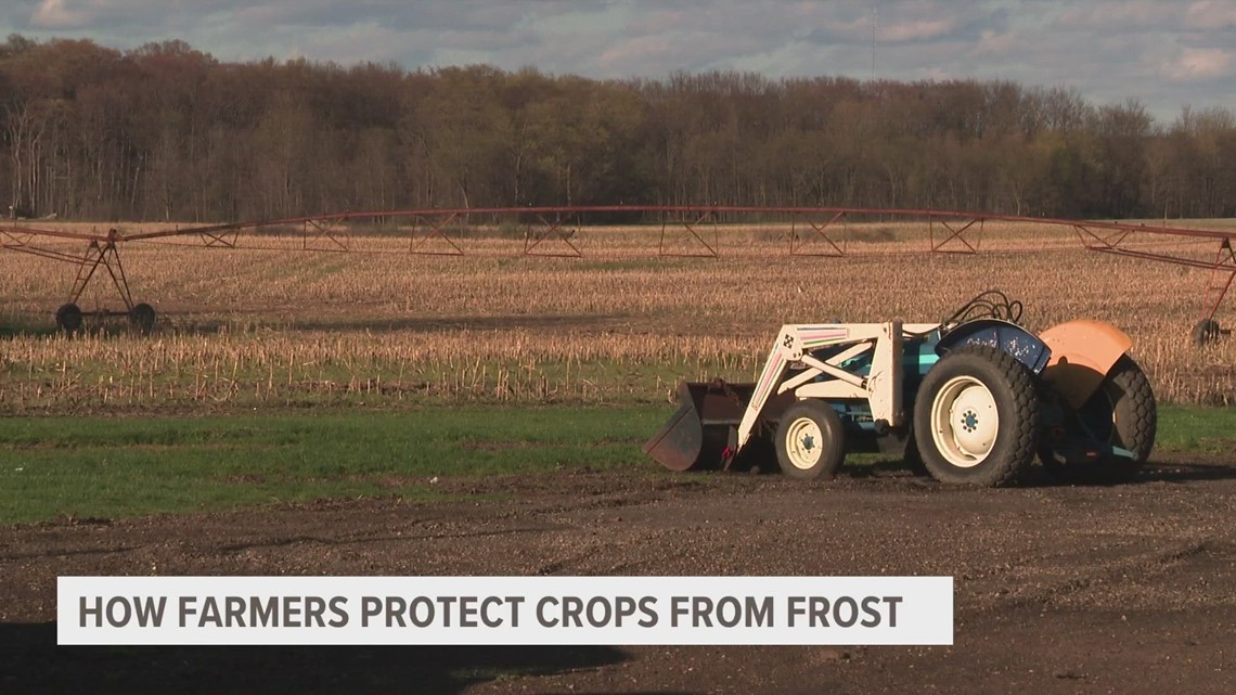 How farmers protect crops from frost | wzzm13.com