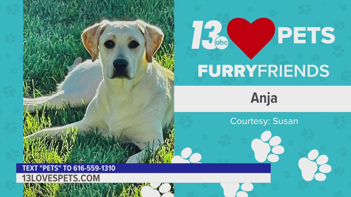 Furry Friends: October 20, 2022 | Anja | wzzm13.com