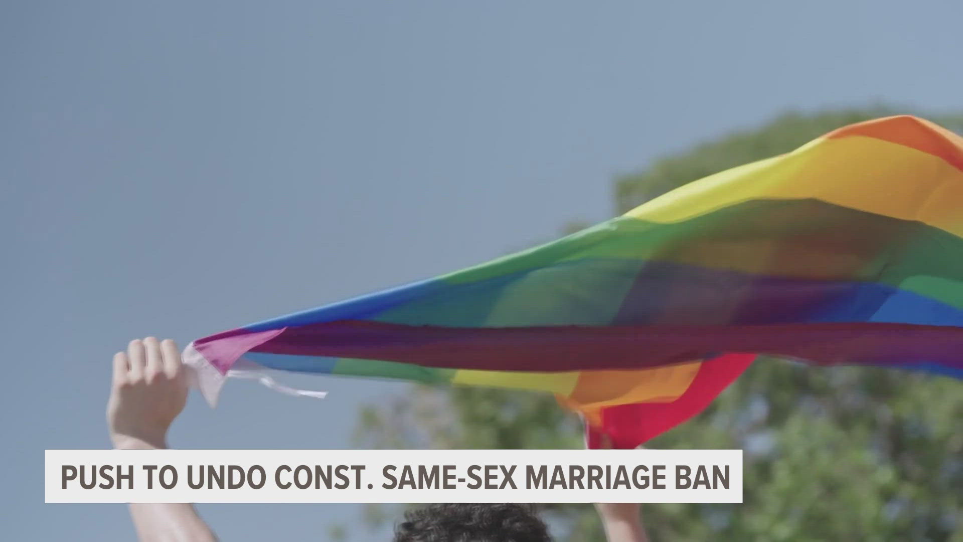 Push To Undo Mi Constitution Same Sex Marriage Ban