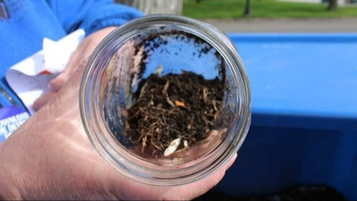 Detroit Zoo is giving away free buckets of poop | wzzm13.com