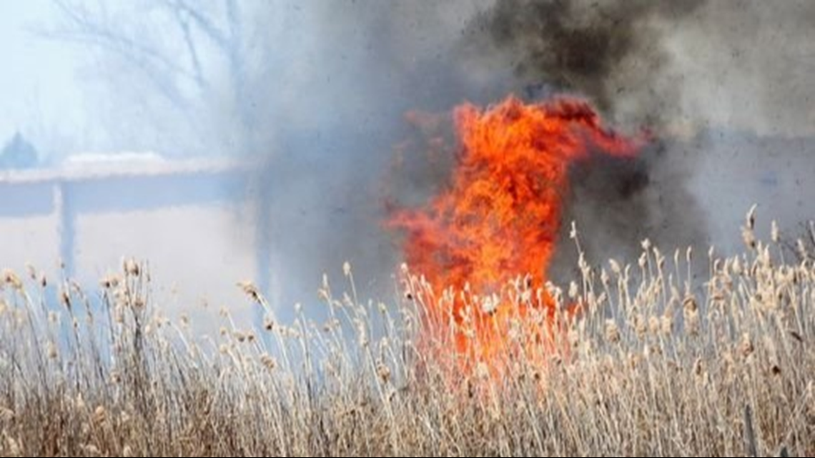 Here's Why: More Michiganders Are At Risk From Wildfires | wzzm13.com