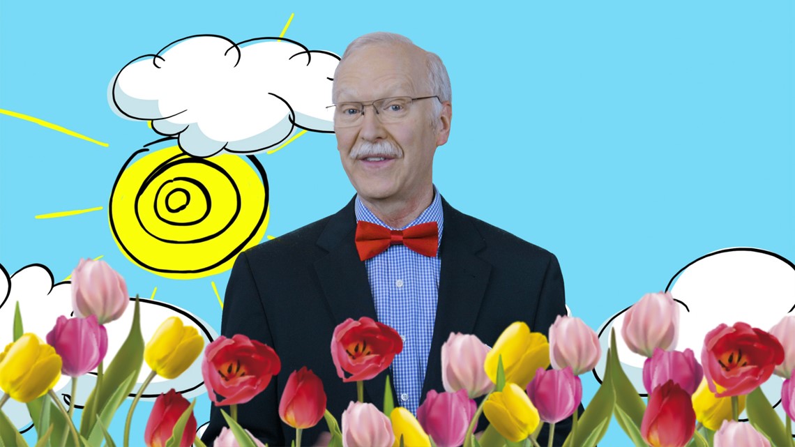 'Tulip Lessons' with George Lessens | wzzm13.com