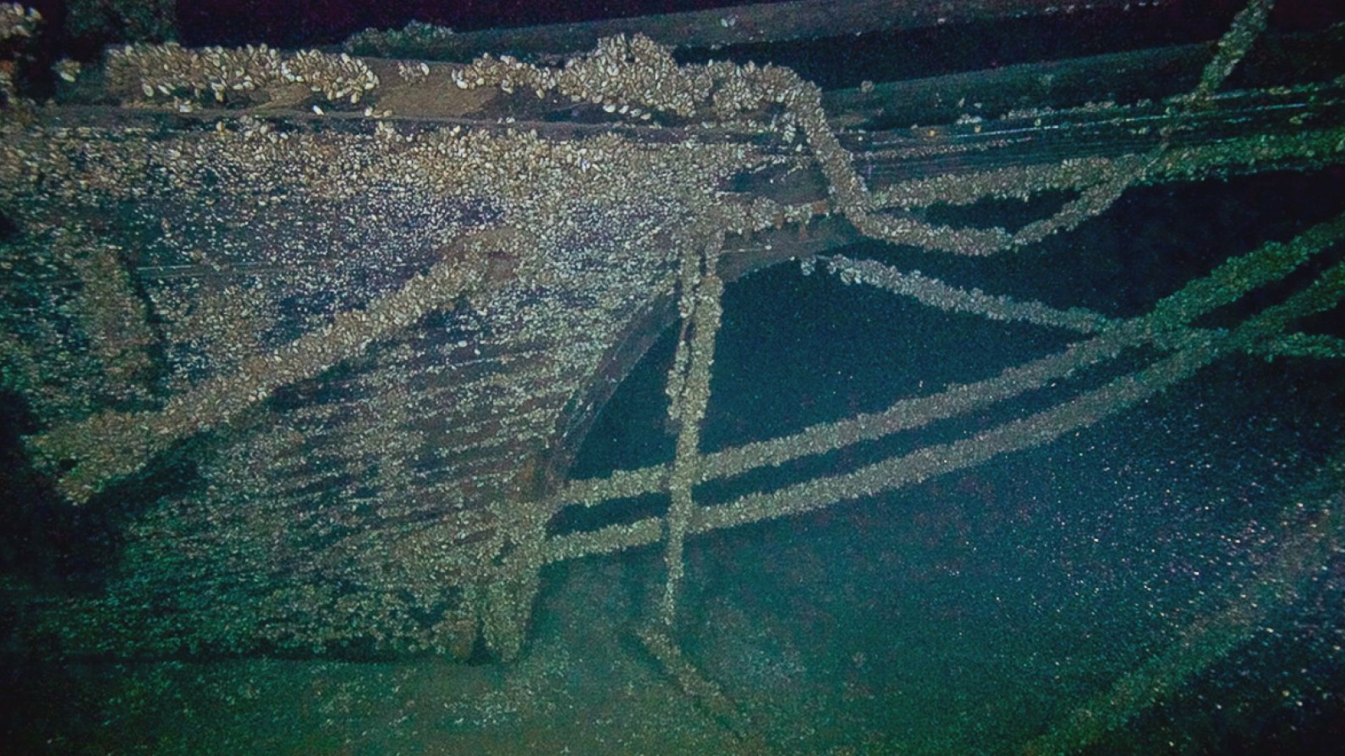 127-year-old shipwreck in Lake Michigan looks 'amazingly intact ...