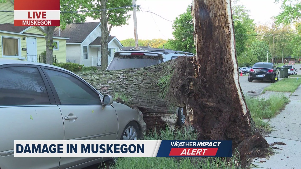 Strong winds topple tree into Muskegon road | wzzm13.com