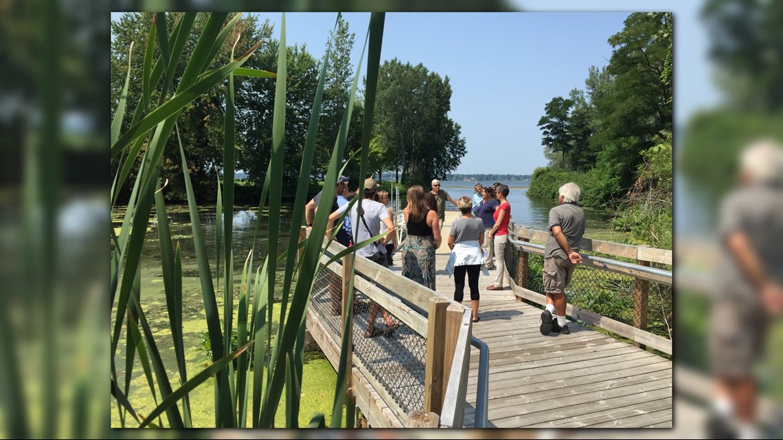 Clean water inspires cross-lake paddleboarding adventure | wzzm13.com