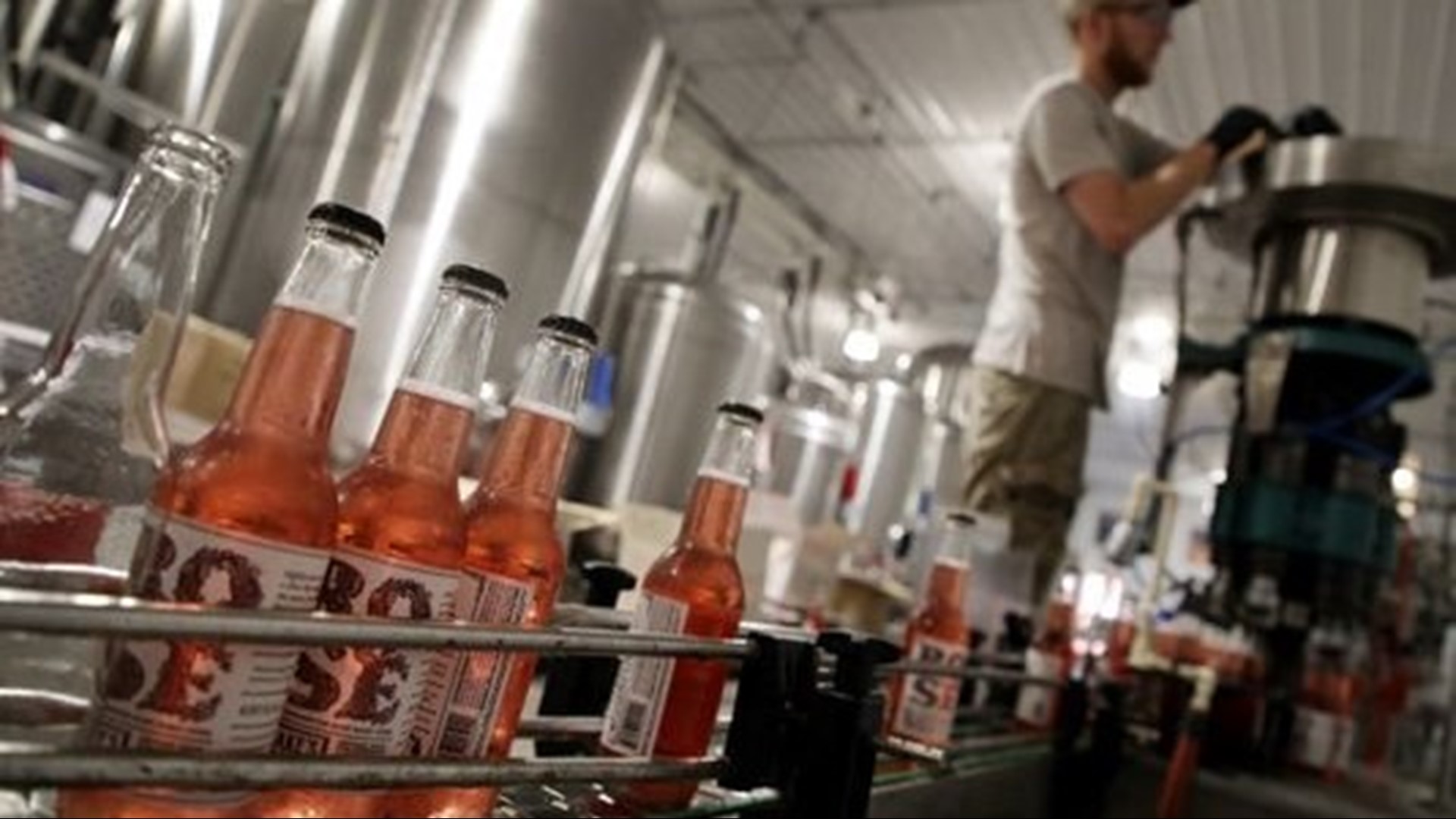 How Blake's family farm became Michigan's hard cider leader | wzzm13.com