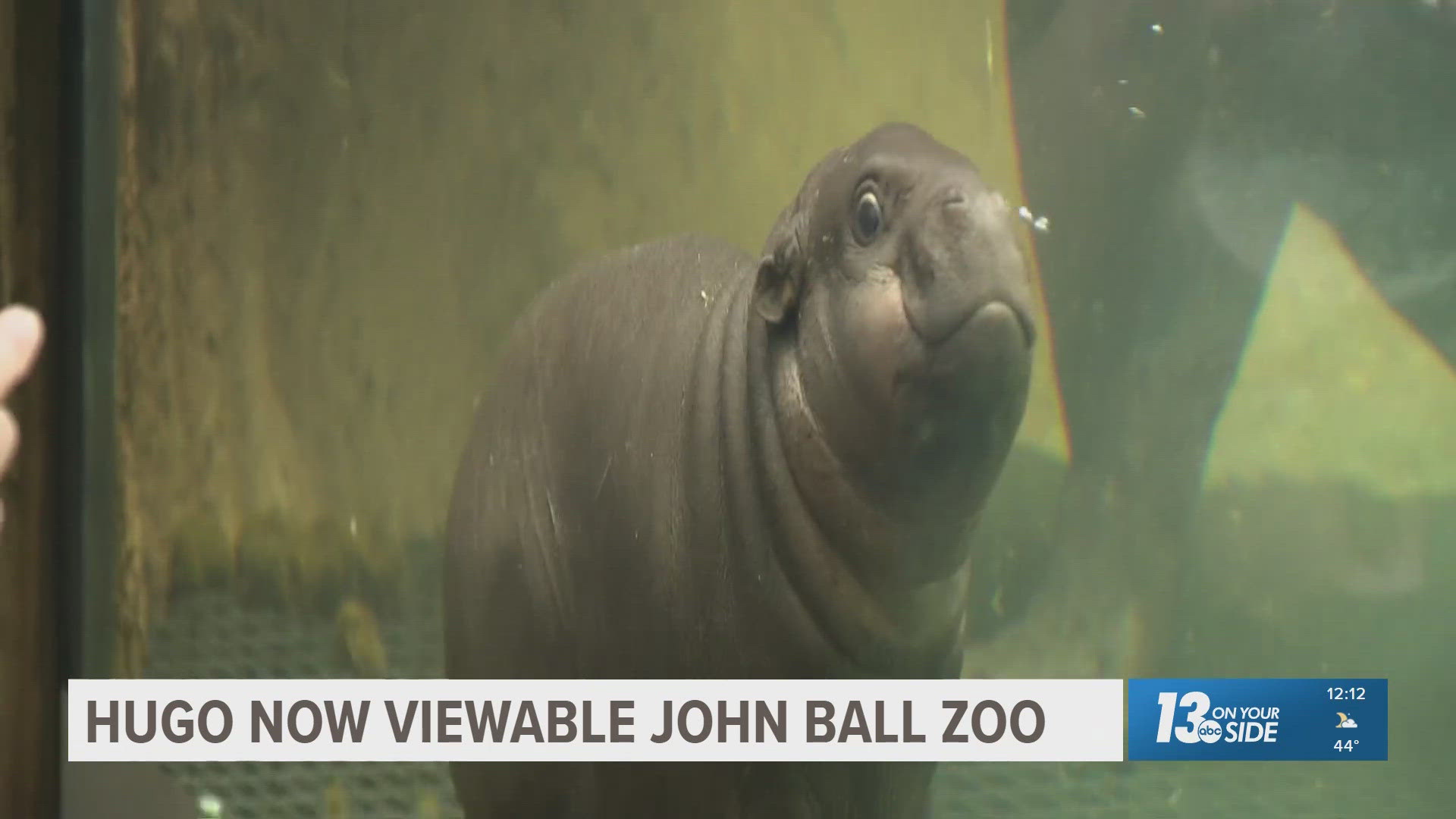 'Wicked' Broadway actor runs NYC marathon, hops on stage for two performances | wzzm13.com