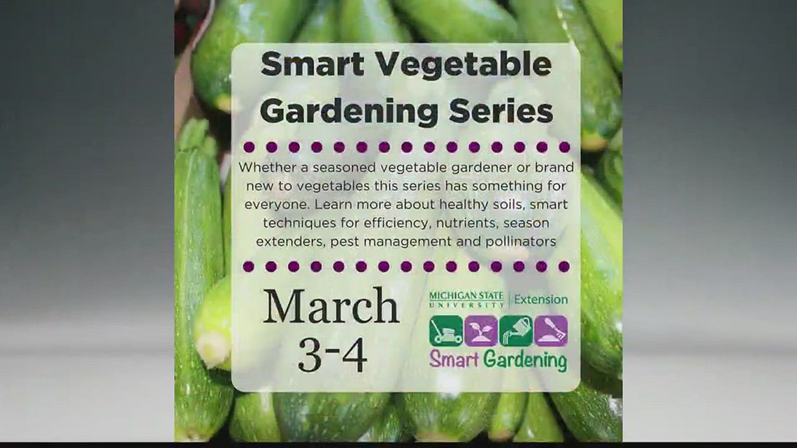 Smart Vegetable Gardening | wzzm13.com