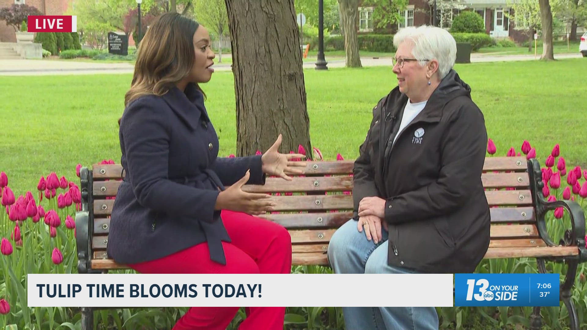 What's new at Tulip Time this year | wzzm13.com