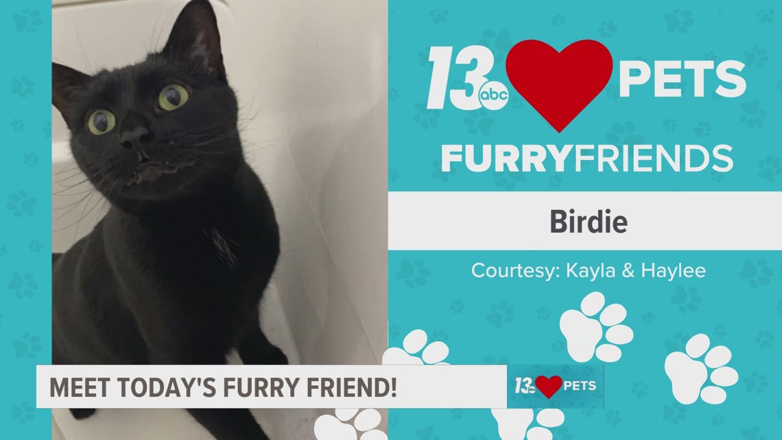 13 LOVES PETS | Meet our Furry Friend, Birdie! | wzzm13.com