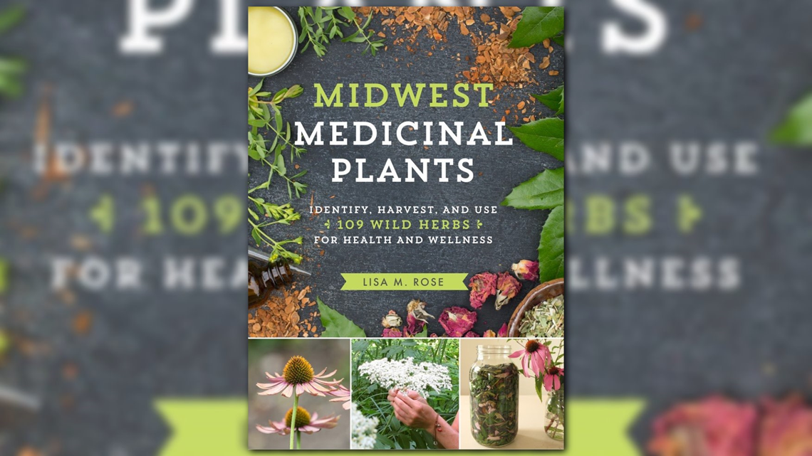 Kick the ick: herbal medicine for cold & flu season | wzzm13.com