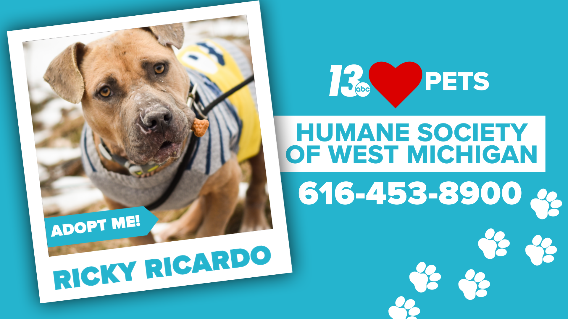 UNDERDOGS: Meet our adoptable furry friends | wzzm13.com